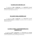 No Inquiry, No Demand, No Audit Para, No Punishment, Service, Satisfactory Certificate | DOCX ...